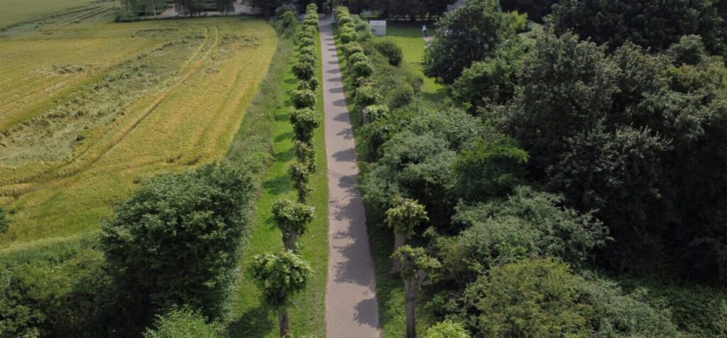 Welcome to Watton Town Council